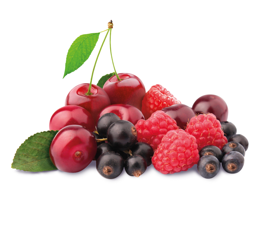 BIO Waldbeere – Alpenbauer